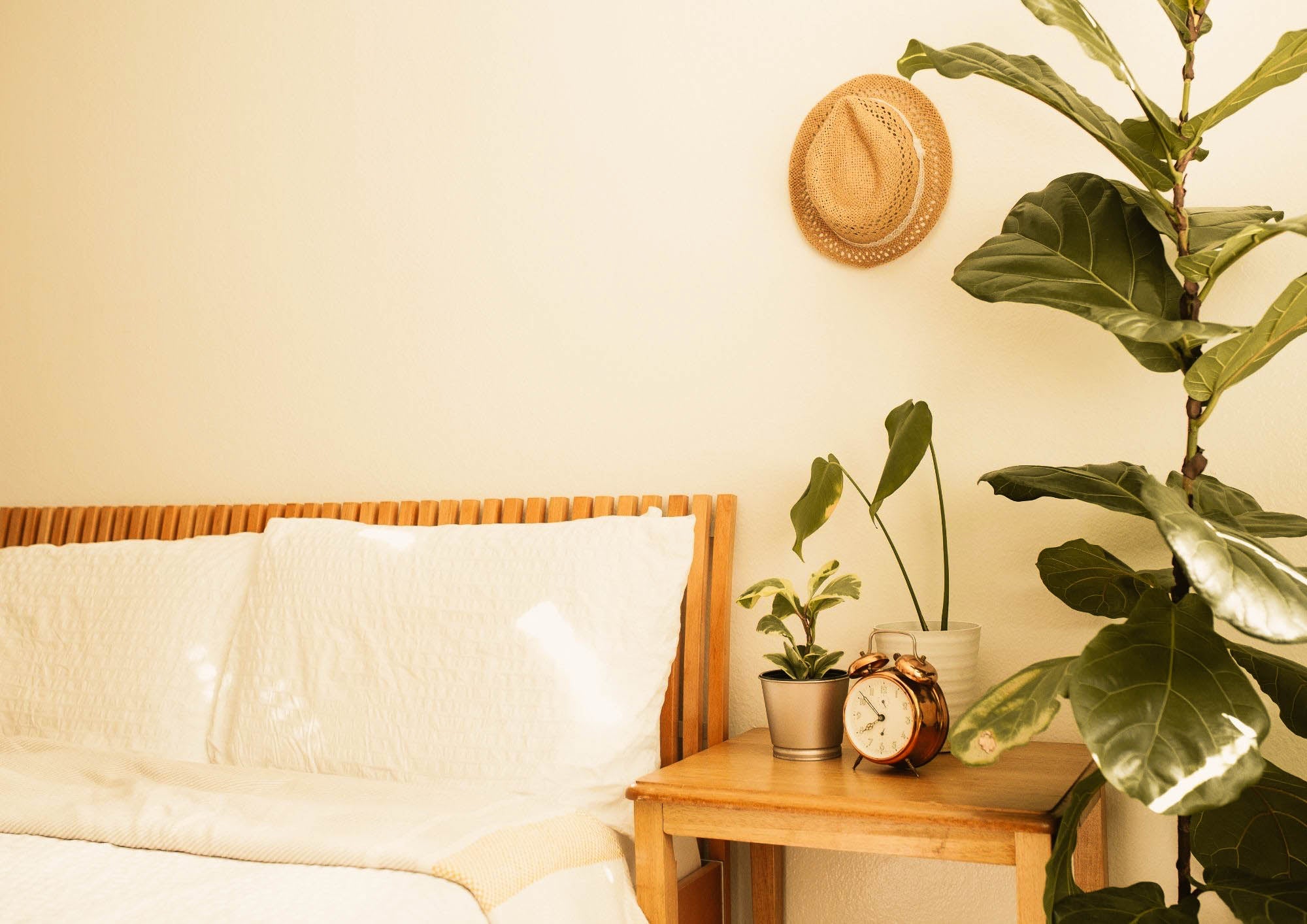 Bedroom Plant Styling Tips | Binnekant – binnekant